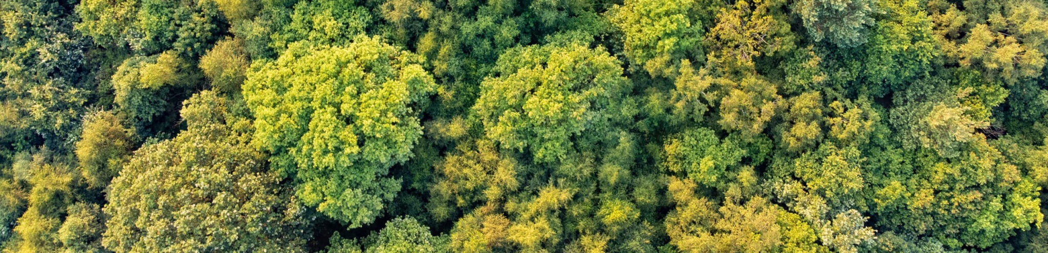 Road Planings For Sale | Jet Plant